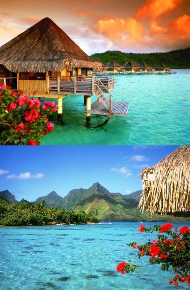 Honeymoon - WHERE DO YOU WANT TO GO #2056265 - Weddbook