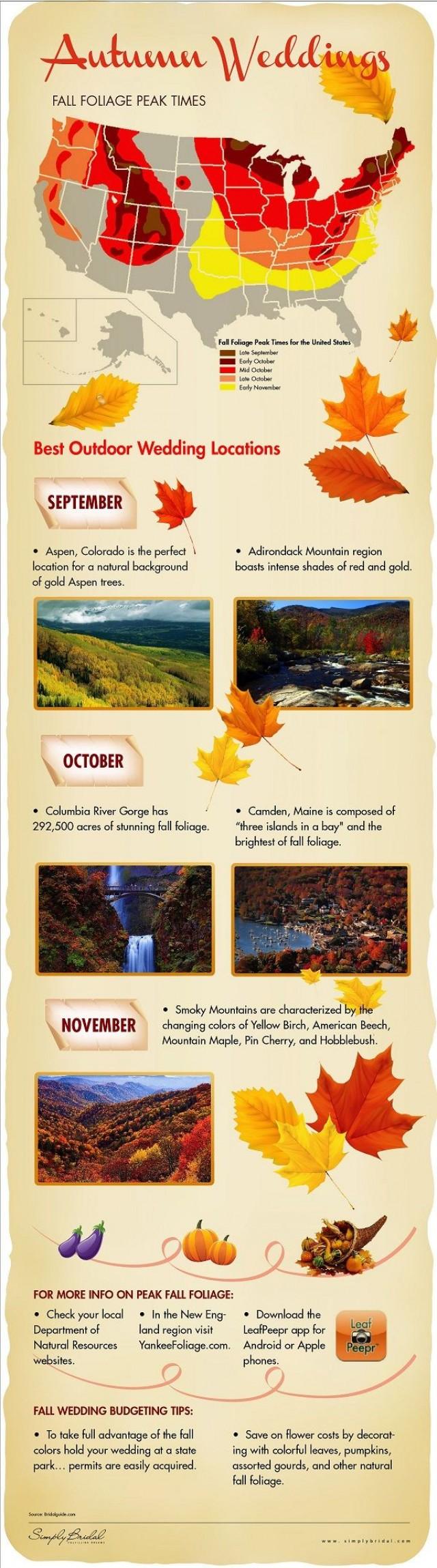 Wedding Theme October 17th Someday 2312485 Weddbook wedding-theme-october-17th-someday-2312485-weddbook
