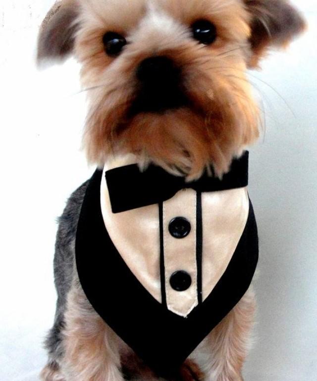 Little Dog Wedding Tuxedo Collar Formal Bandana Tuxedo Collar Pet Little Dog Wedding Tuxedo Collar Formal Bandana Tuxedo Collar Pet